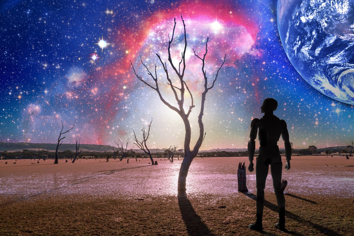 STARLIGHT ACTIVATIONS, ETERNAL LIFE ~ 6 of 111 | The New Divine Humanity